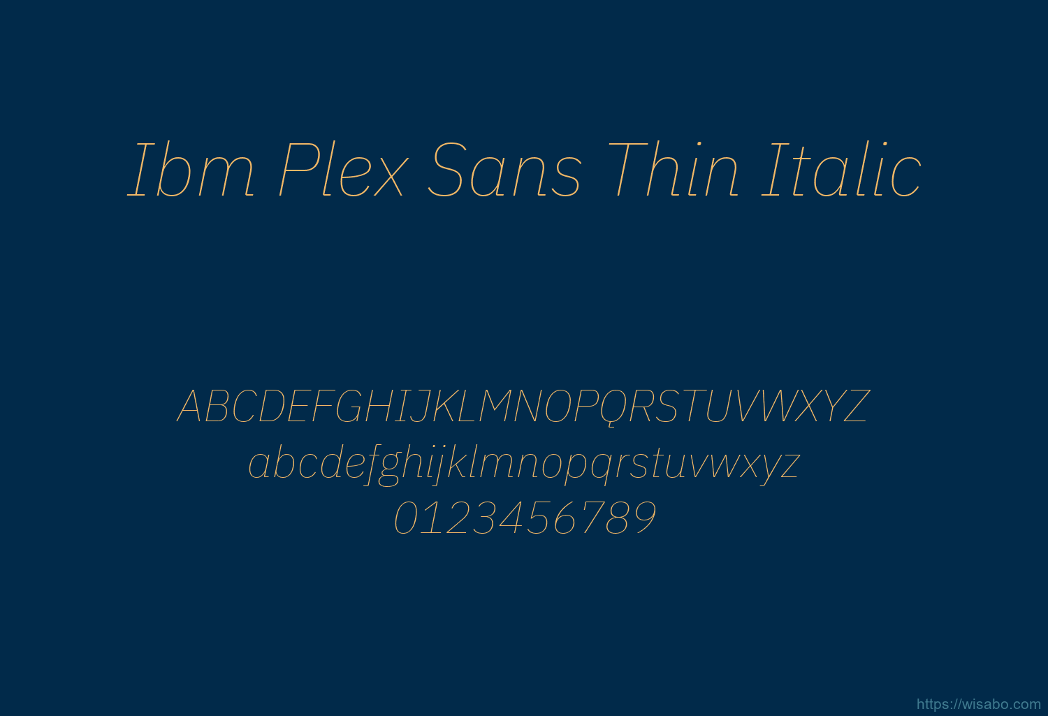 Ibm Plex Sans Thin Italic Font Free Download [ttf - otf] | Wisabo Fonts