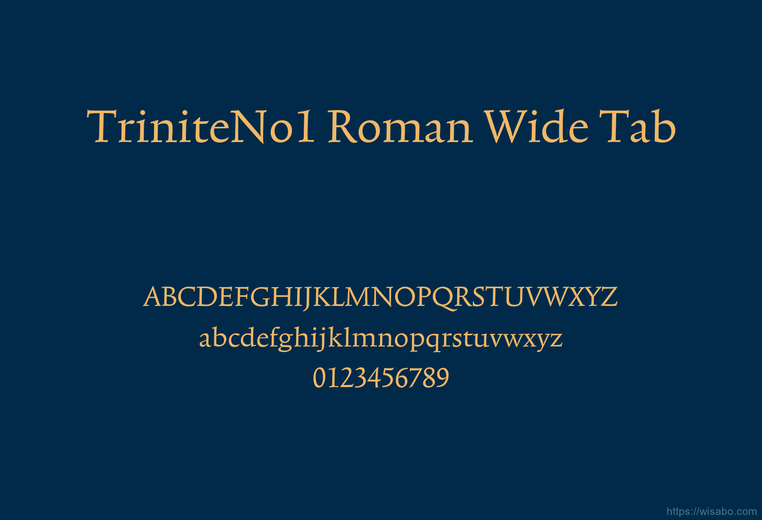 TriniteNo1 Roman Wide Tab Font Free Download [ttf - otf] | Wisabo Fonts